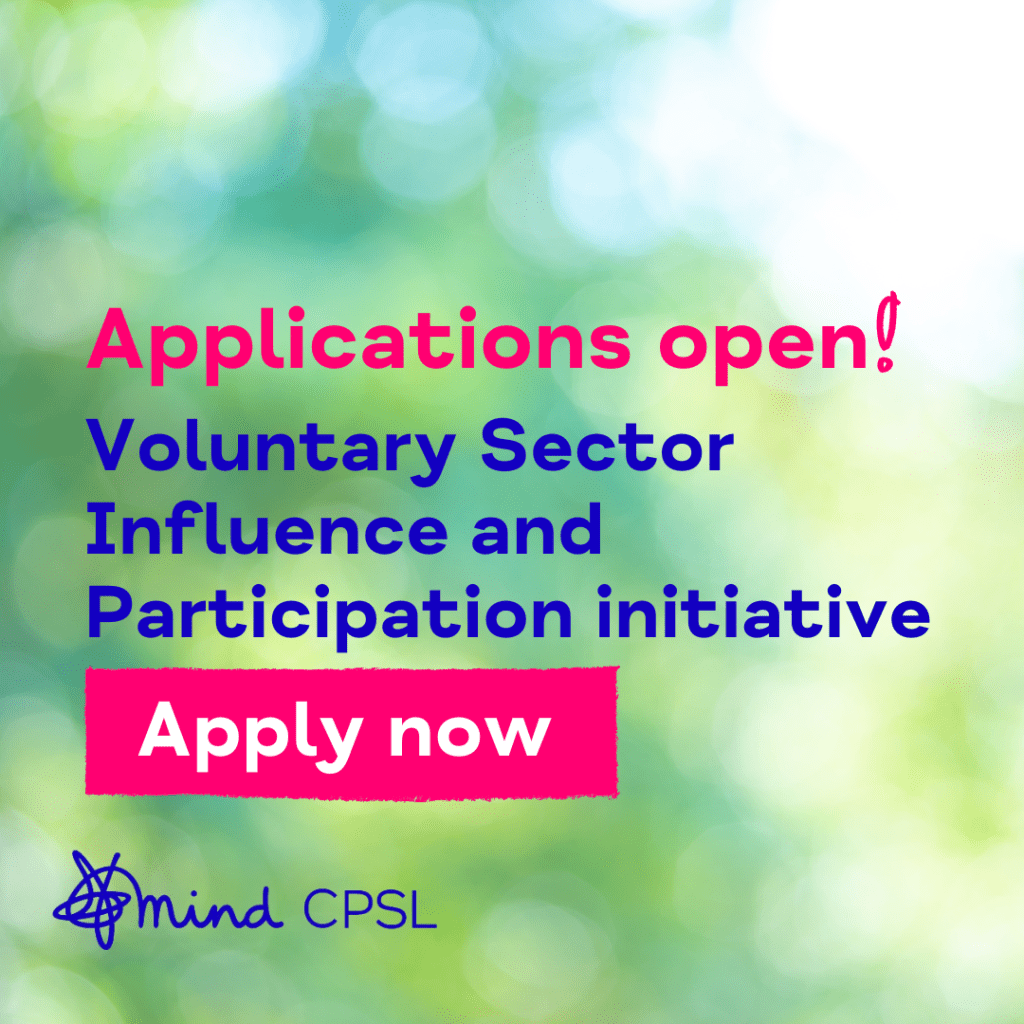 Voluntary Sector Influence & Participation Project Board